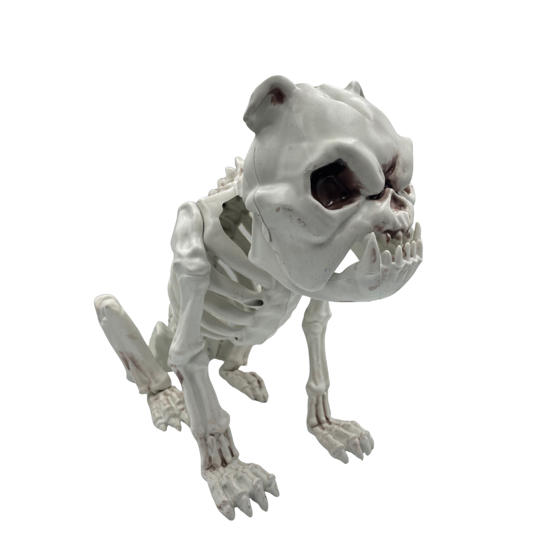 Skeleton Pug – Kiddie Majigs
